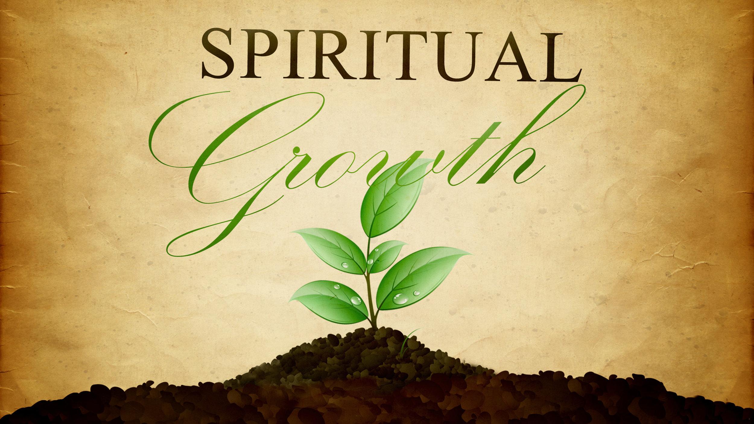 How to Live a Godly Life: 7 Biblical Tips for Spiritual Growth ...